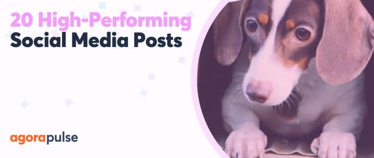 10 Types of Social Media Posts That Perform Well | Agorapulse