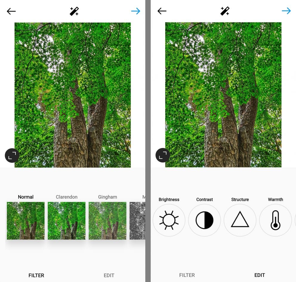 Instagram Reels vs Posts: Reach, Engagement, When to Use Each