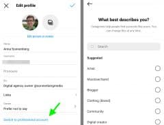 How to Choose The Right Types of Instagram Accounts
